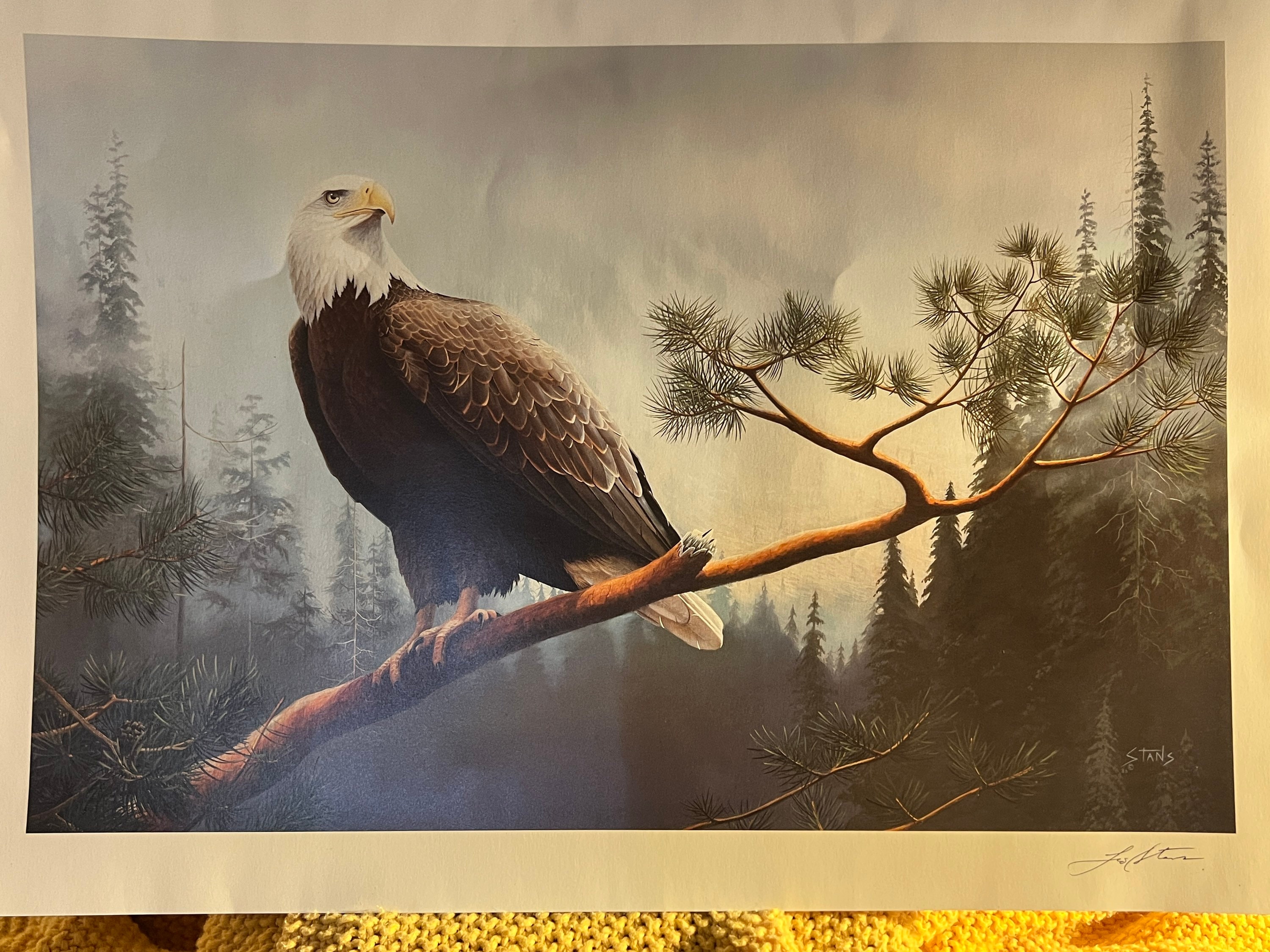 Wildlife Prints by Leo Stans - Etsy