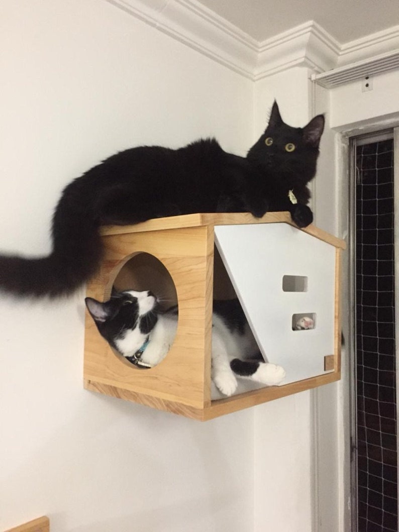 Cat Wall Mounted Resting House - Etsy