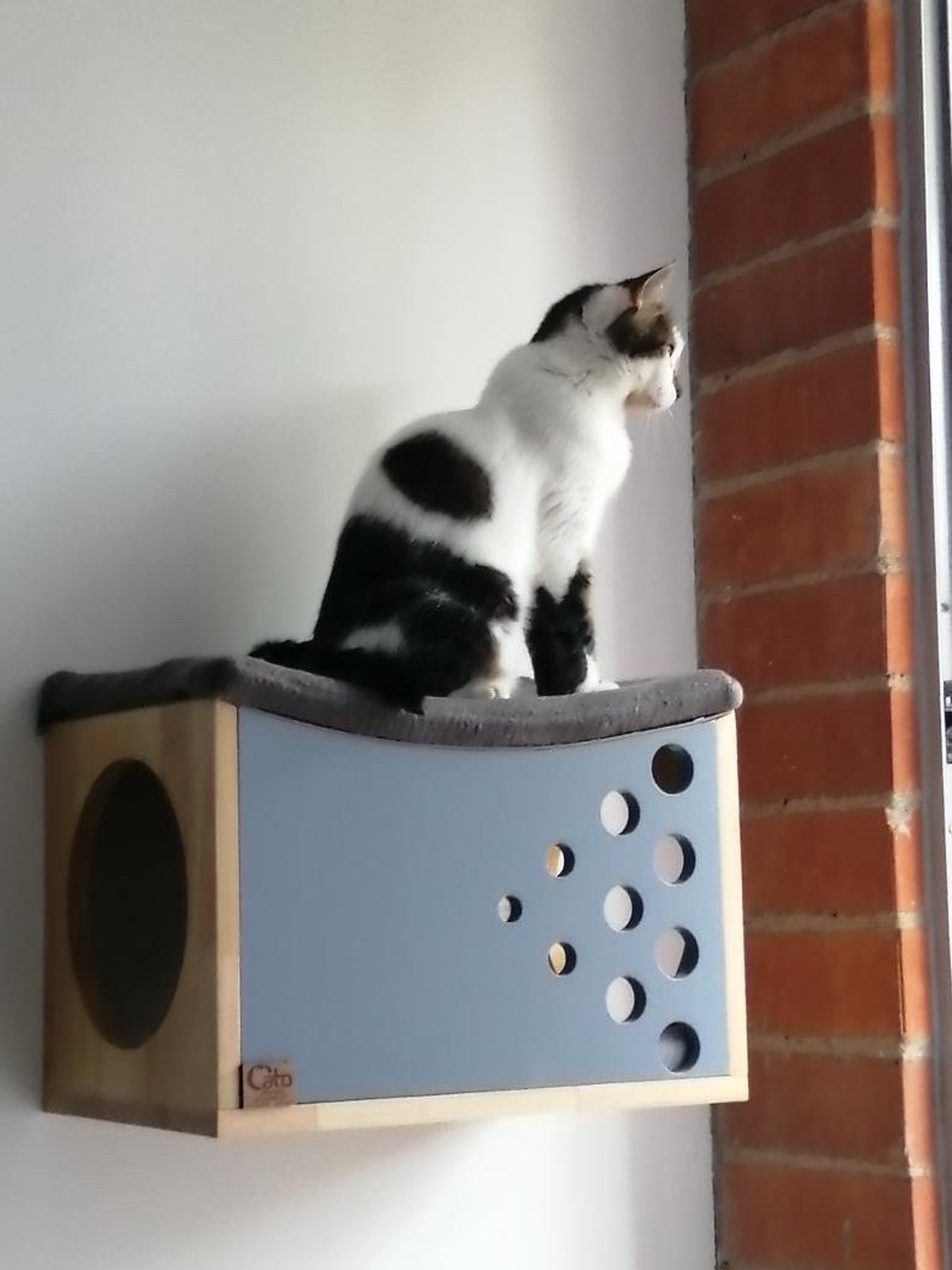 Deluxe Wall Mounted Double Resting Box - Etsy