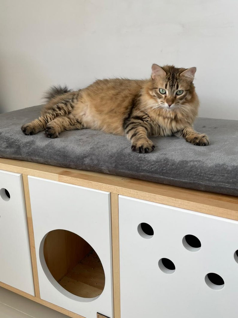 Deluxe Double Cat Litter Box Wood Furniture | Etsy