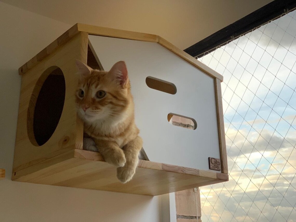 Cat Wall Mounted Resting House | Etsy