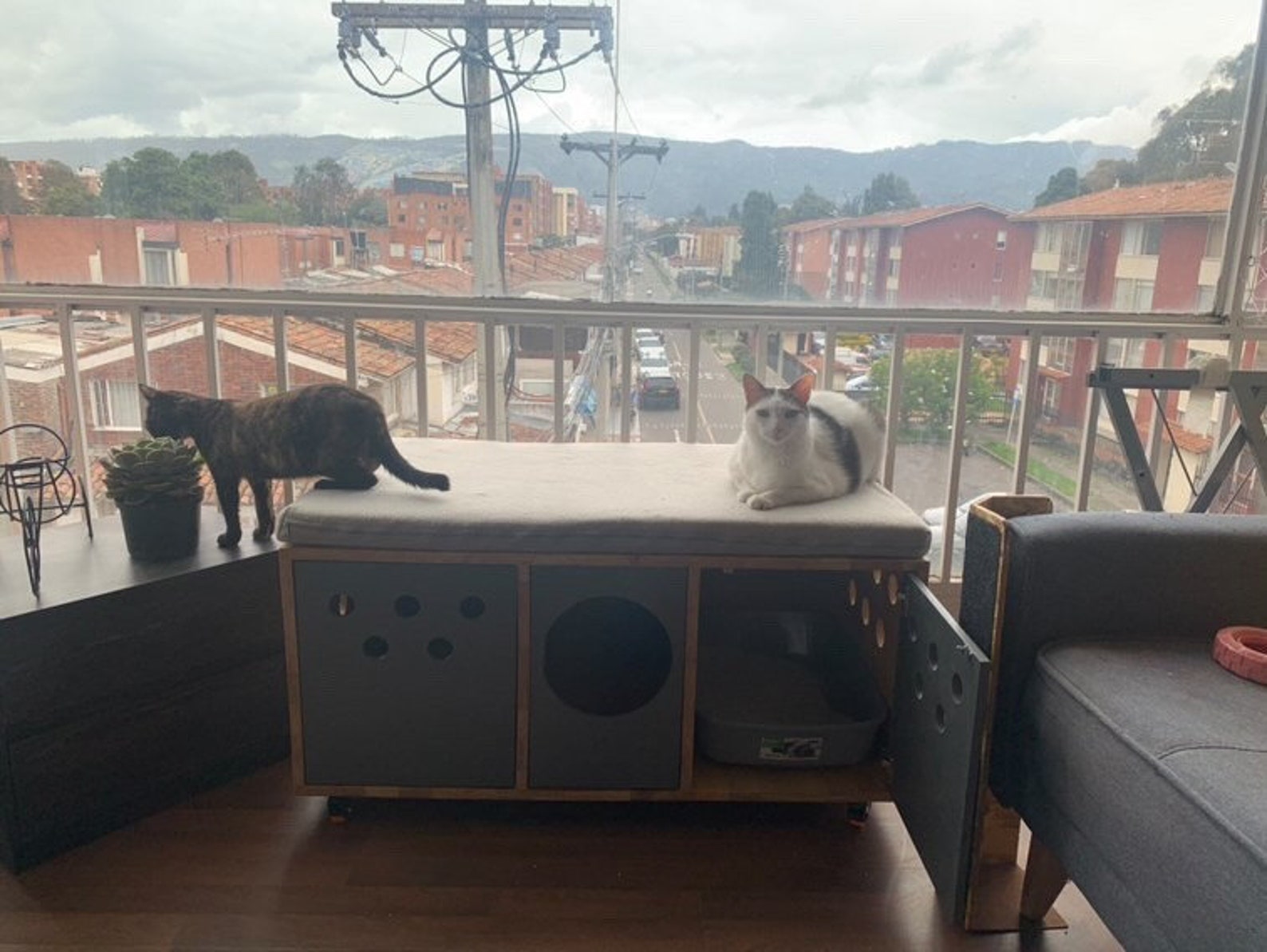 Deluxe Double Cat Litter Box Wood Furniture | Etsy