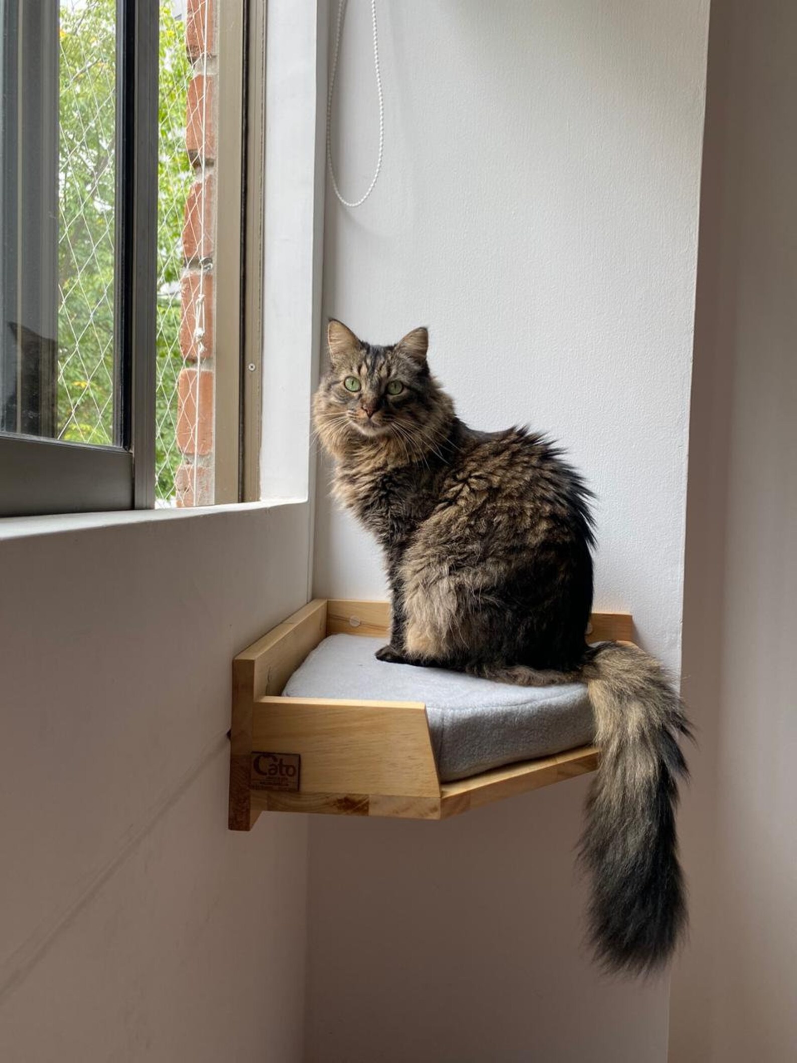 Wall Mounted Cat Corner Bed - Etsy