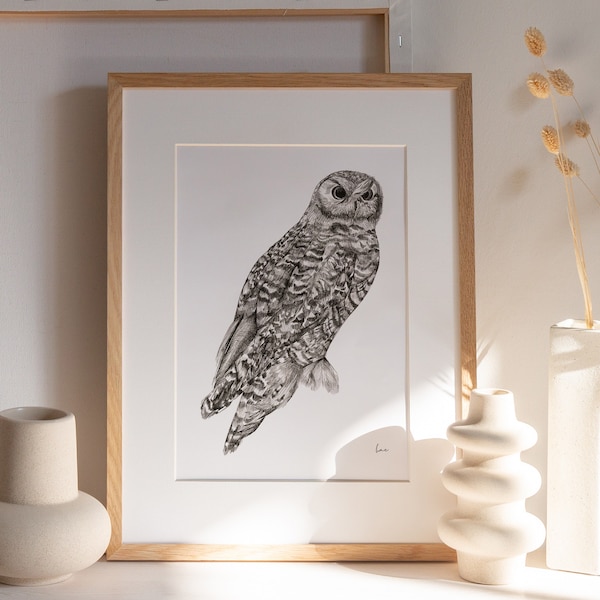 Owl Ink Drawing - Etsy