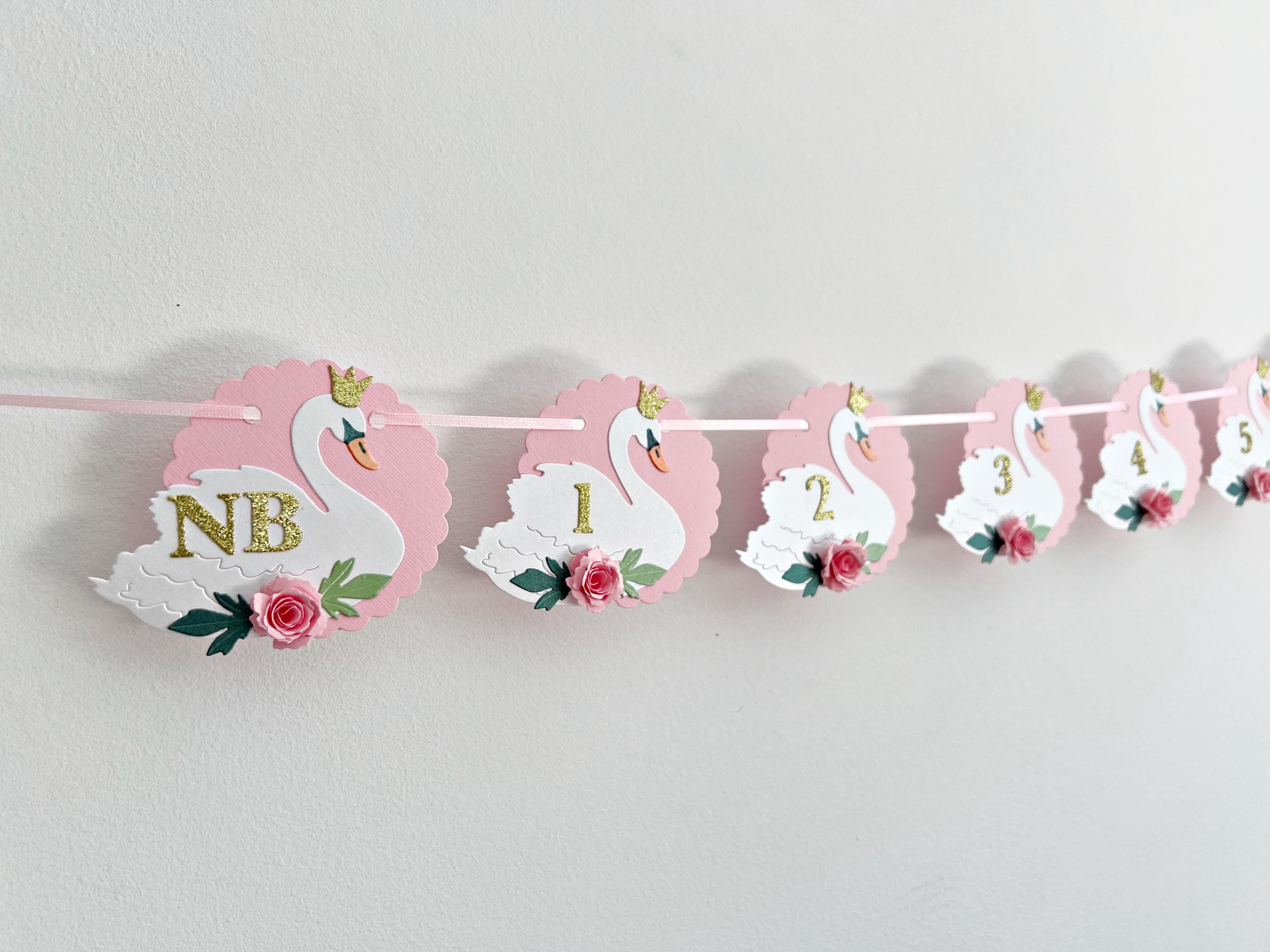 SWAN FIRST BIRTHDAY. Swan 12 Month Photo Banner. Swan Decorations Swan ...