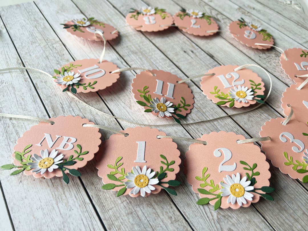 Daisy 12 Month Photo Banner - Daisy Flower 1st Birthday Decorations ...