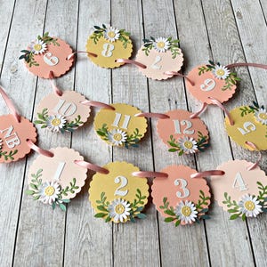 Daisy 12 Month Photo Banner - Daisy Flower 1st Birthday Decorations ...
