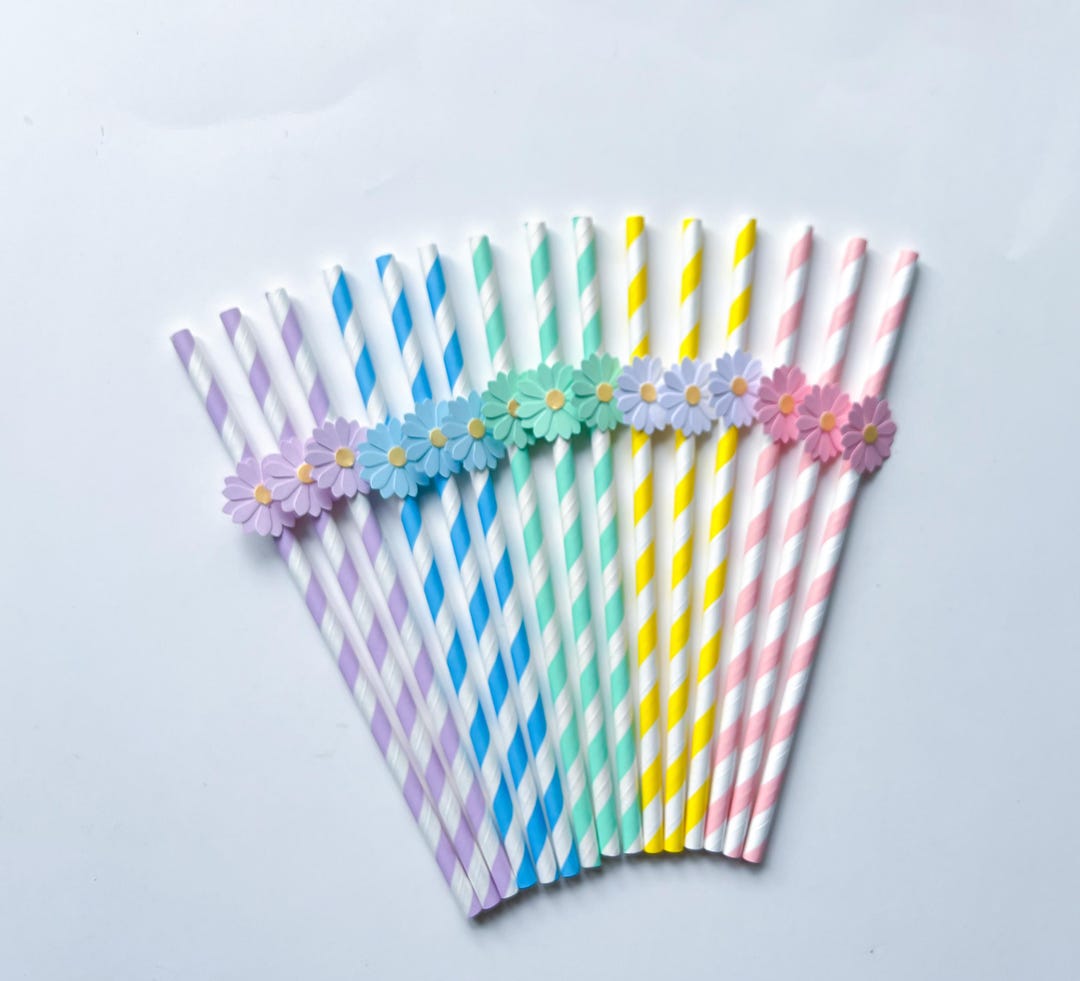 Daisy Paper Straws – Pastel Rainbow Floral Party Decorations - Etsy UK