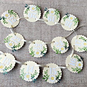 Daisy 12 Month Photo Banner - Daisy Flower 1st Birthday Decorations ...