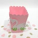 MINI Swan Popcorn Boxes. Swan Lake Birthday Decorations Swan - Etsy