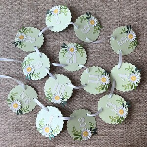 Daisy 12 Month Photo Banner - Daisy Flower 1st Birthday Decorations ...