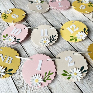 Daisy 12 Month Photo Banner Daisy Flower 1st Birthday Decorations ...