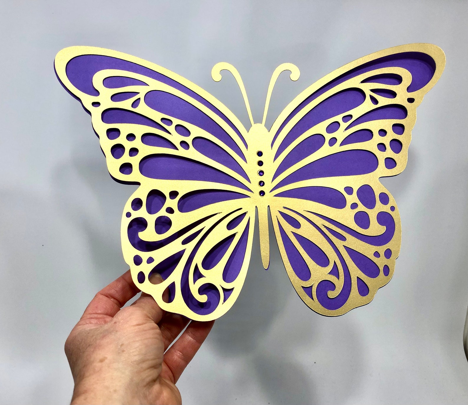 Large Paper Butterfly Single Extra Large Butterfly Backdrop - Etsy