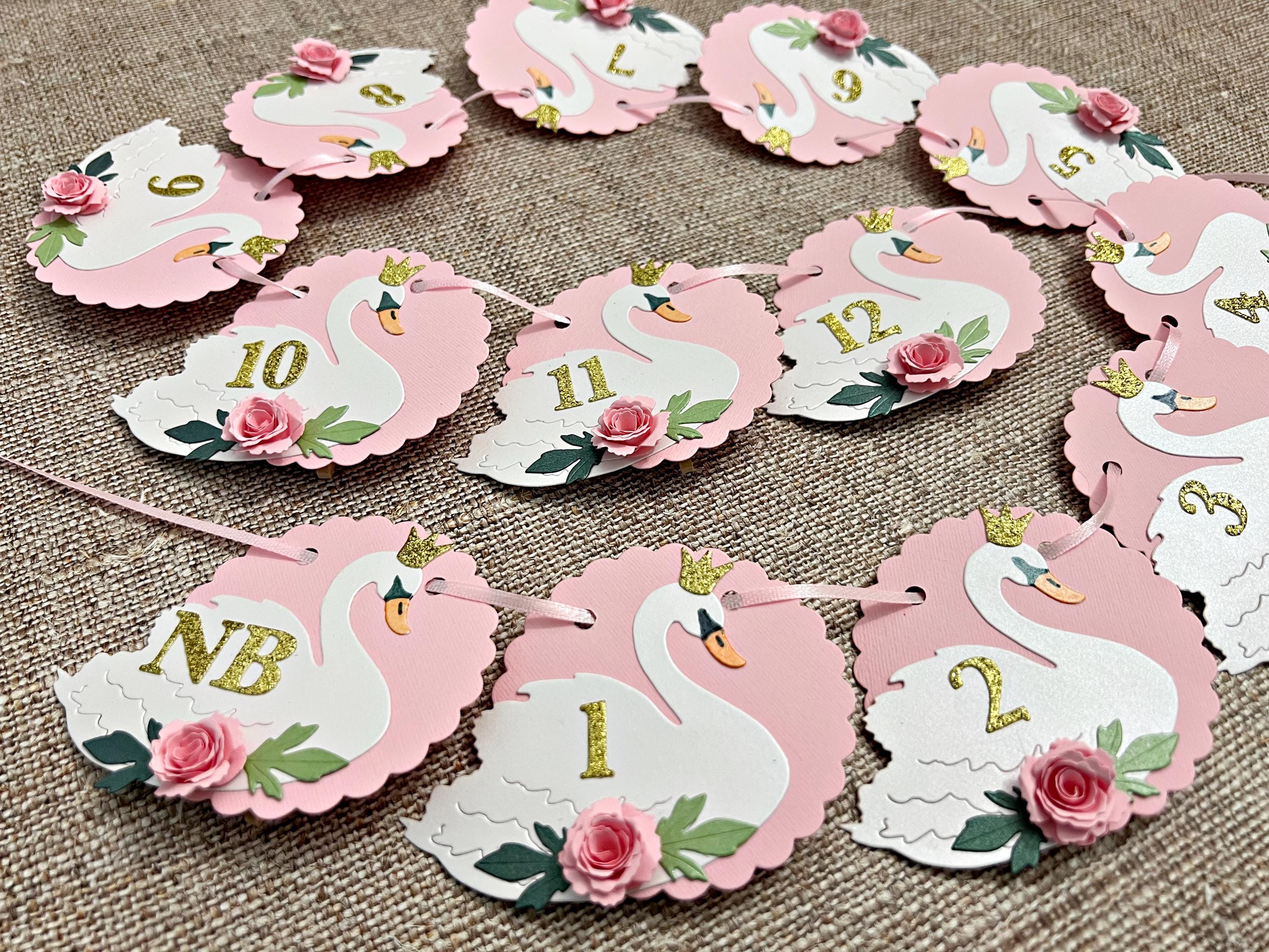 SWAN FIRST BIRTHDAY. Swan 12 Month Photo Banner. Swan Decorations Swan ...