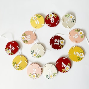 Daisy 12 Month Photo Banner - Daisy Flower 1st Birthday Decorations ...