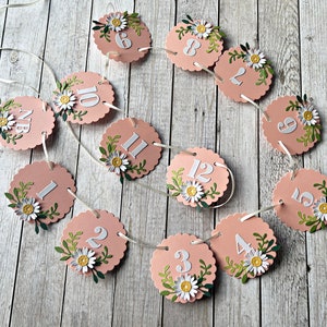 Daisy 12 Month Photo Banner - Daisy Flower 1st Birthday Decorations ...