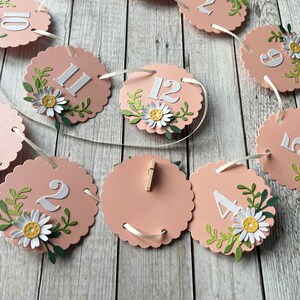Daisy 12 Month Photo Banner - Daisy Flower 1st Birthday Decorations ...