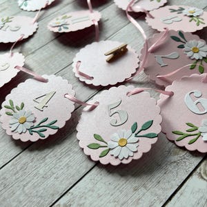 Daisy 12 Month Photo Banner - Daisy Flower 1st Birthday Decorations ...