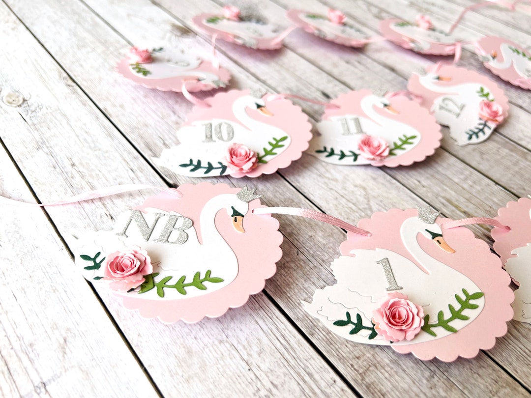 SWAN FIRST BIRTHDAY. Swan 12 Month Photo Banner. Swan - Etsy