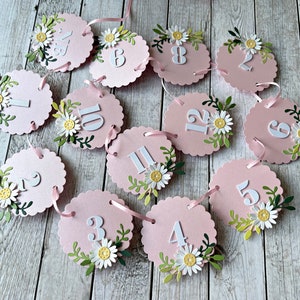 Daisy 12 Month Photo Banner - Daisy Flower 1st Birthday Decorations ...