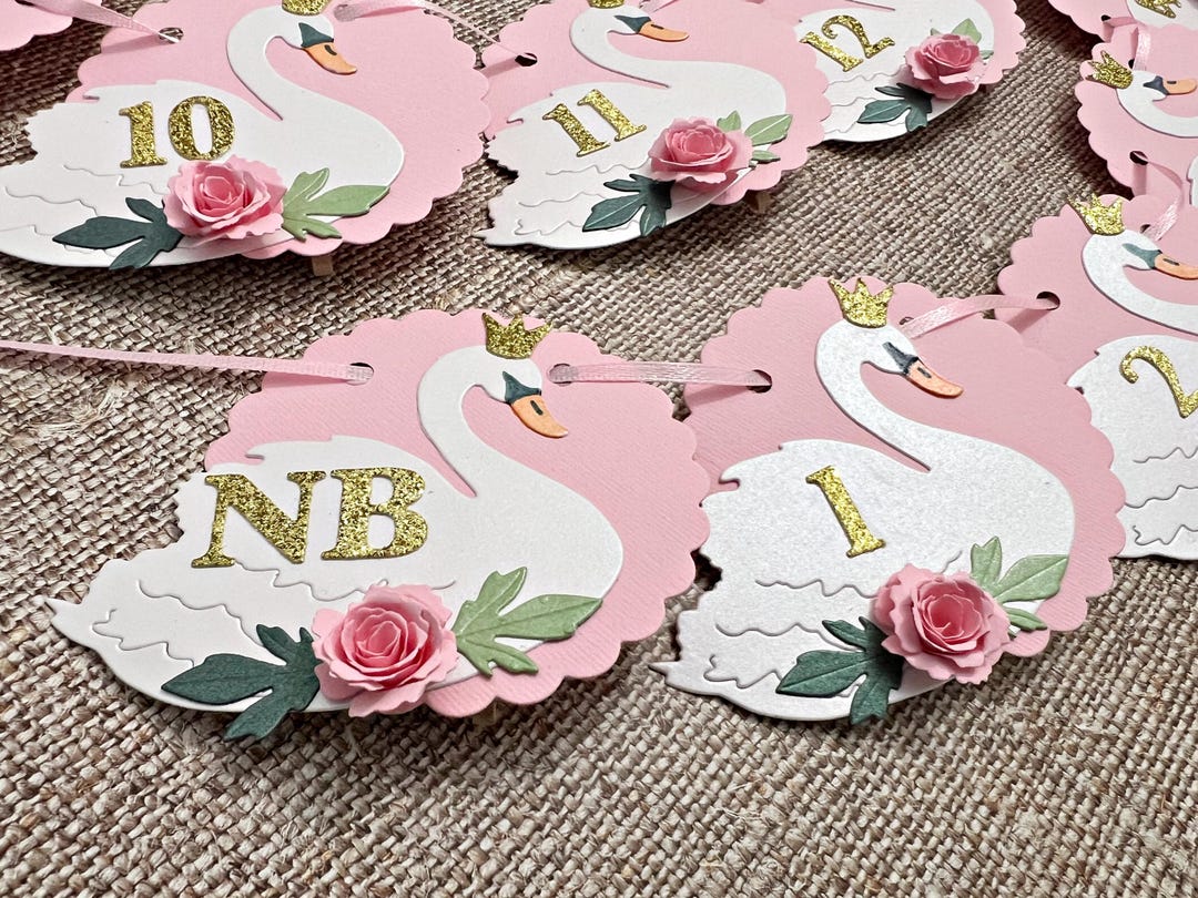 SWAN FIRST BIRTHDAY. Swan 12 Month Photo Banner. Swan Decorations Swan ...