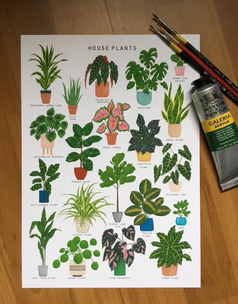 House Plants Print House Plants Poster Botanical Print Wall | Etsy
