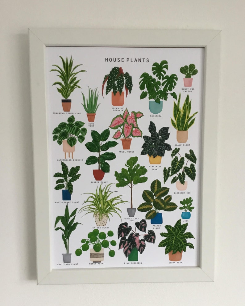 House Plants Print House Plants Poster Botanical Print Wall | Etsy