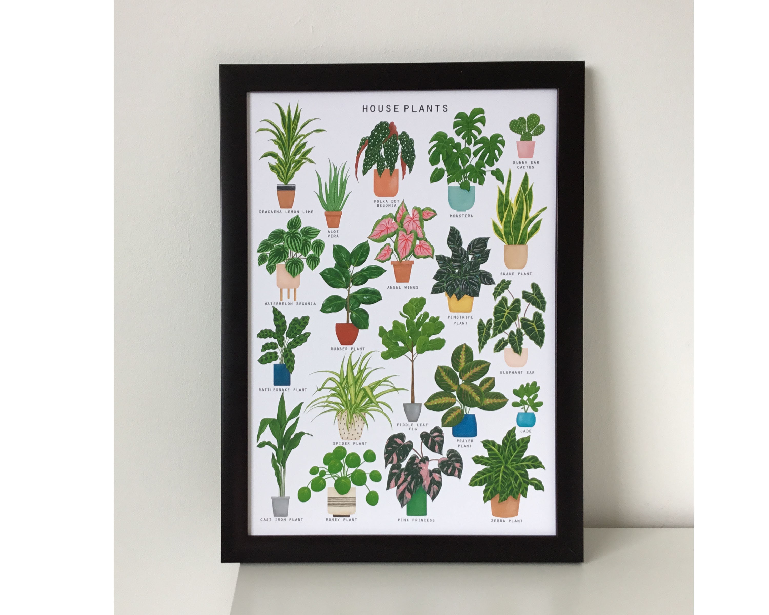 House Plants Print House Plants Poster Botanical Print Wall | Etsy