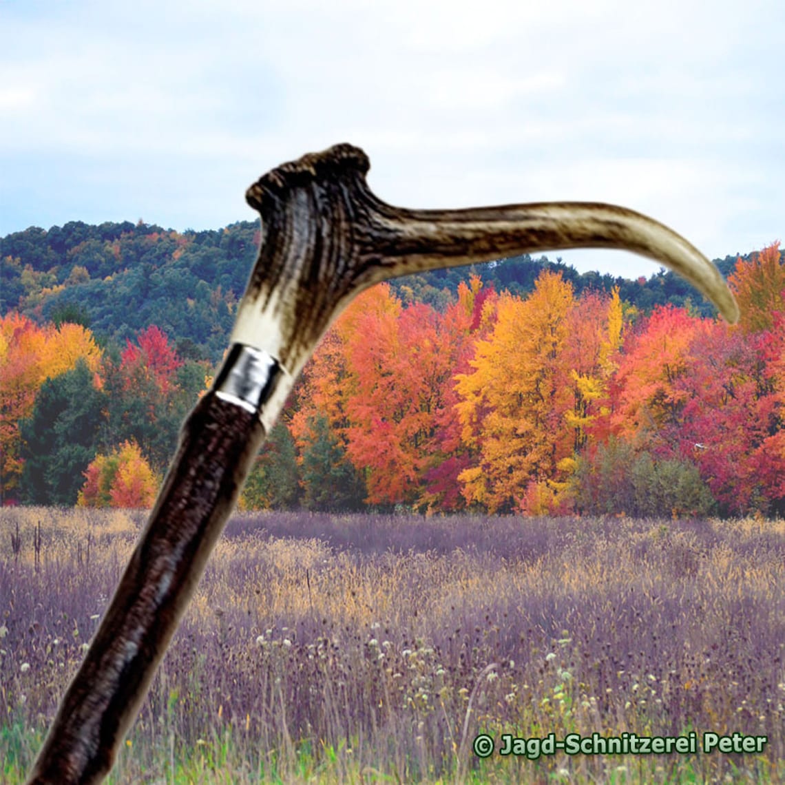 Wanderstock Holz Schwarzdorn Augspross als Hirschhorngriff - Etsy.de