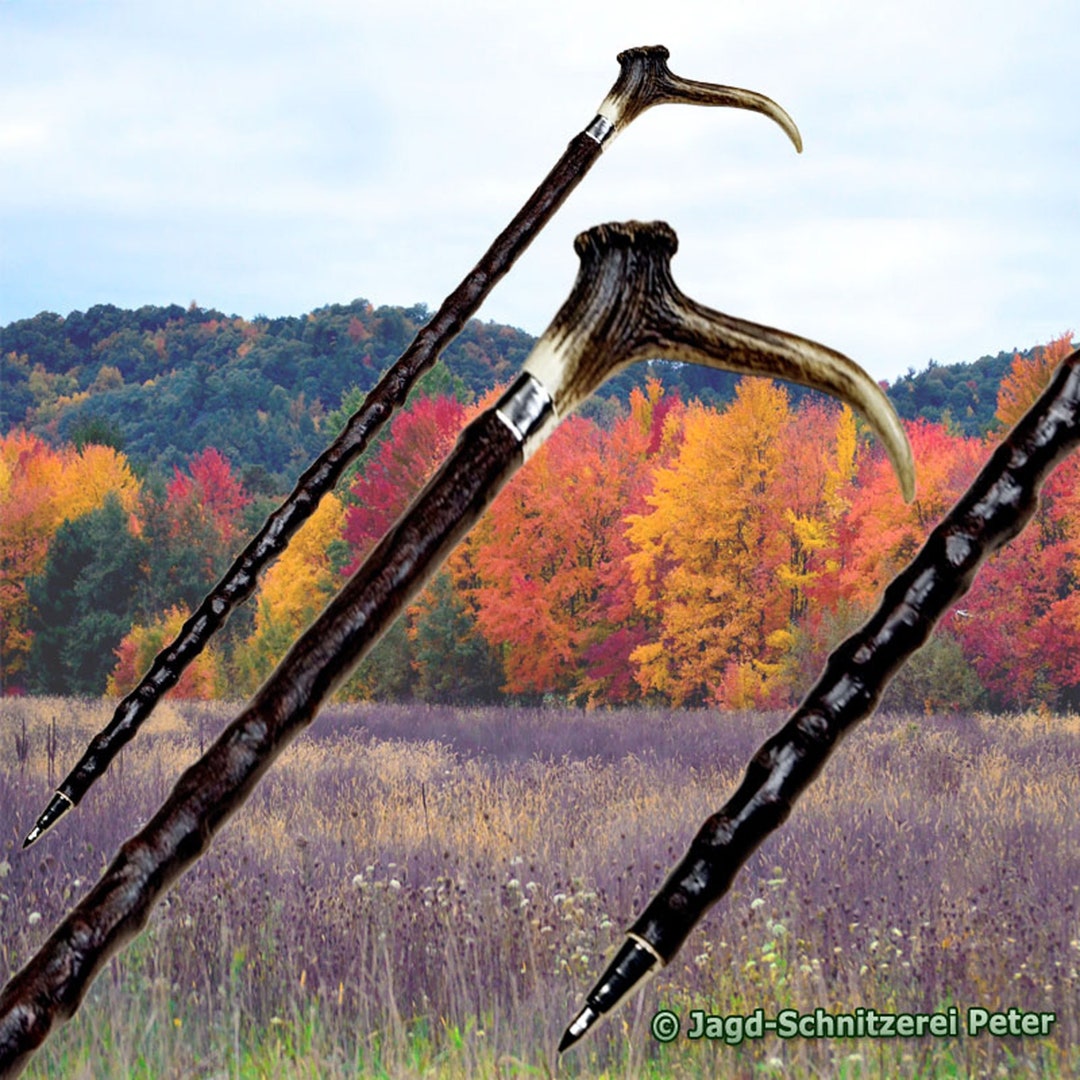 Wanderstock Holz Schwarzdorn, Augspross als Hirschhorngriff - Gravur ...