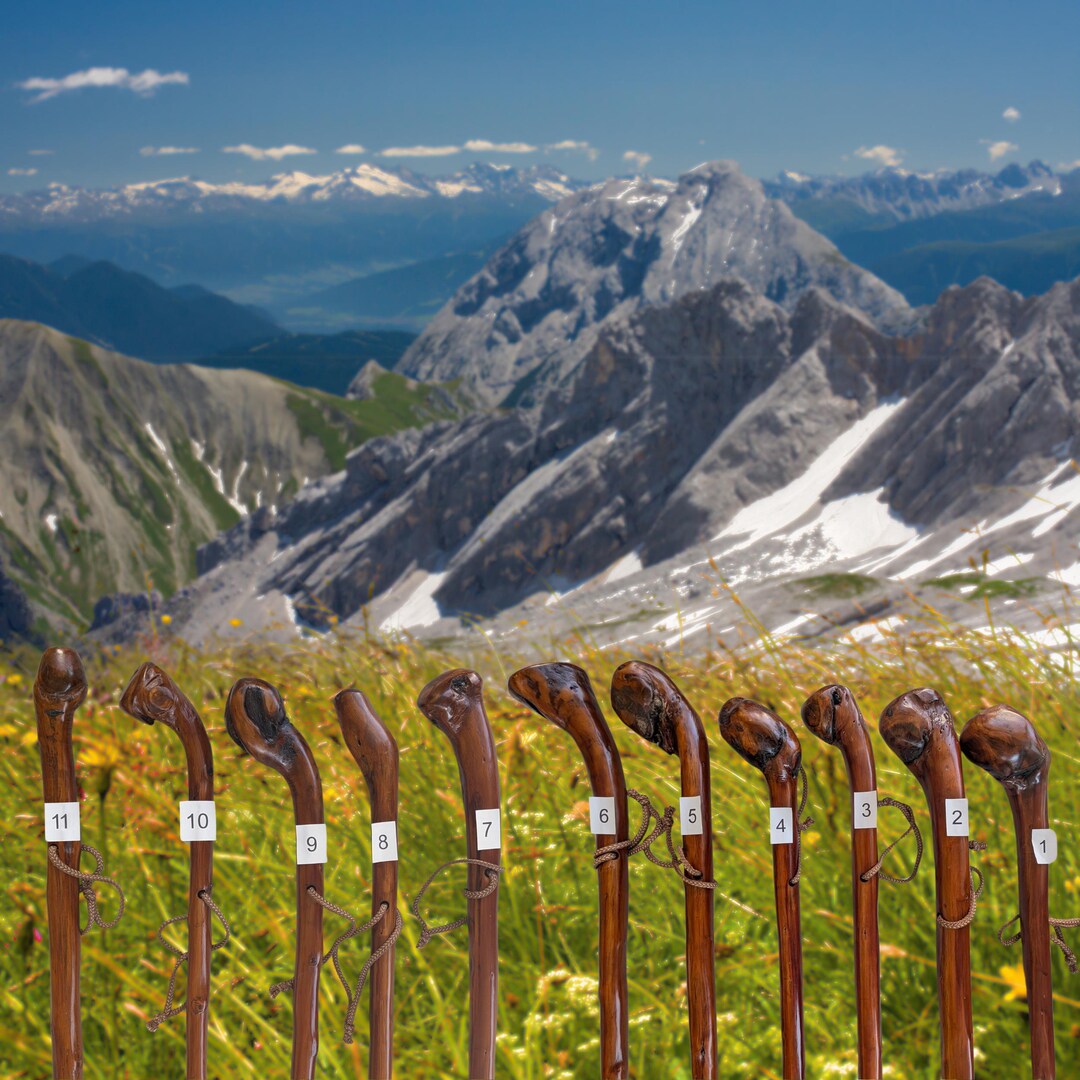 Wanderstöcke, Wanderstock, Holz, Keulenstock, Knollenstock, Wunschlänge ...
