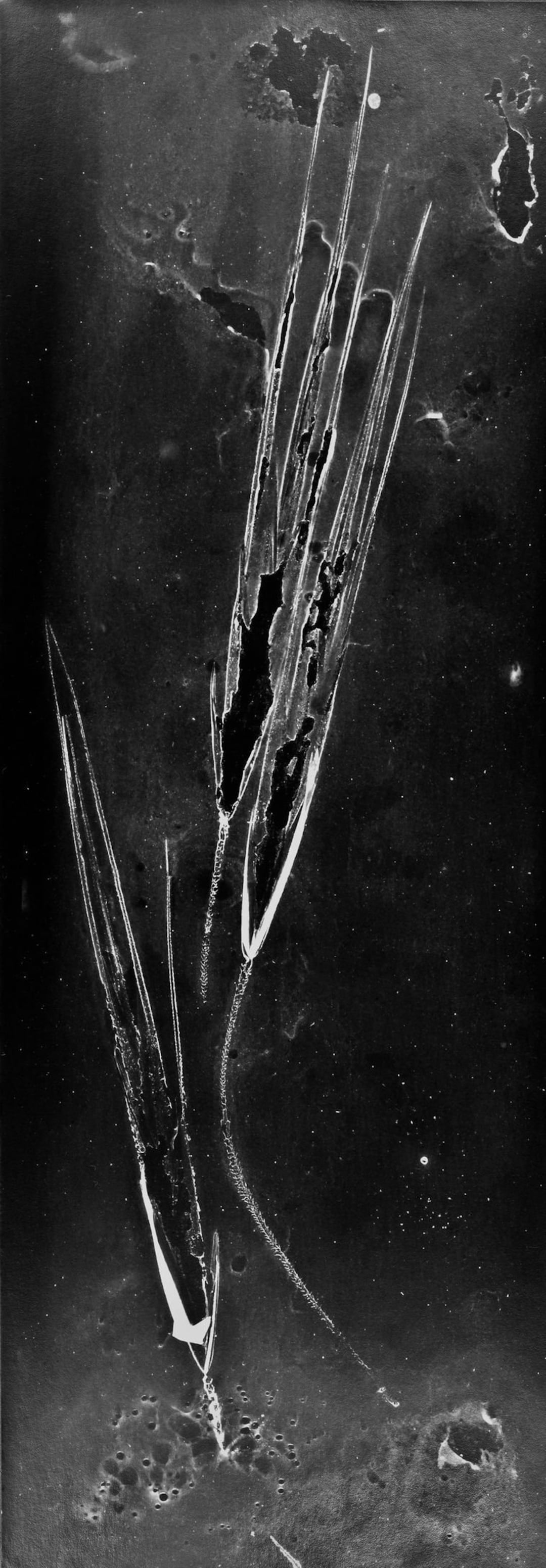 Photogram, Analog, Photography, Darkroom, Abstract, Black and White ...