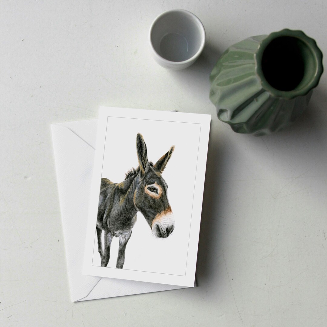 Hand Drawn Donkey: Greeting Card, Archival Inks, West Cork Art, Ireland ...