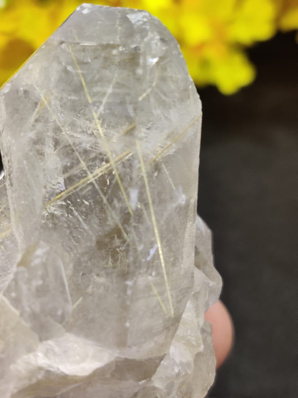 Golden Rutile Natural Crystal Rough Stone Raw Crystal Family | Etsy