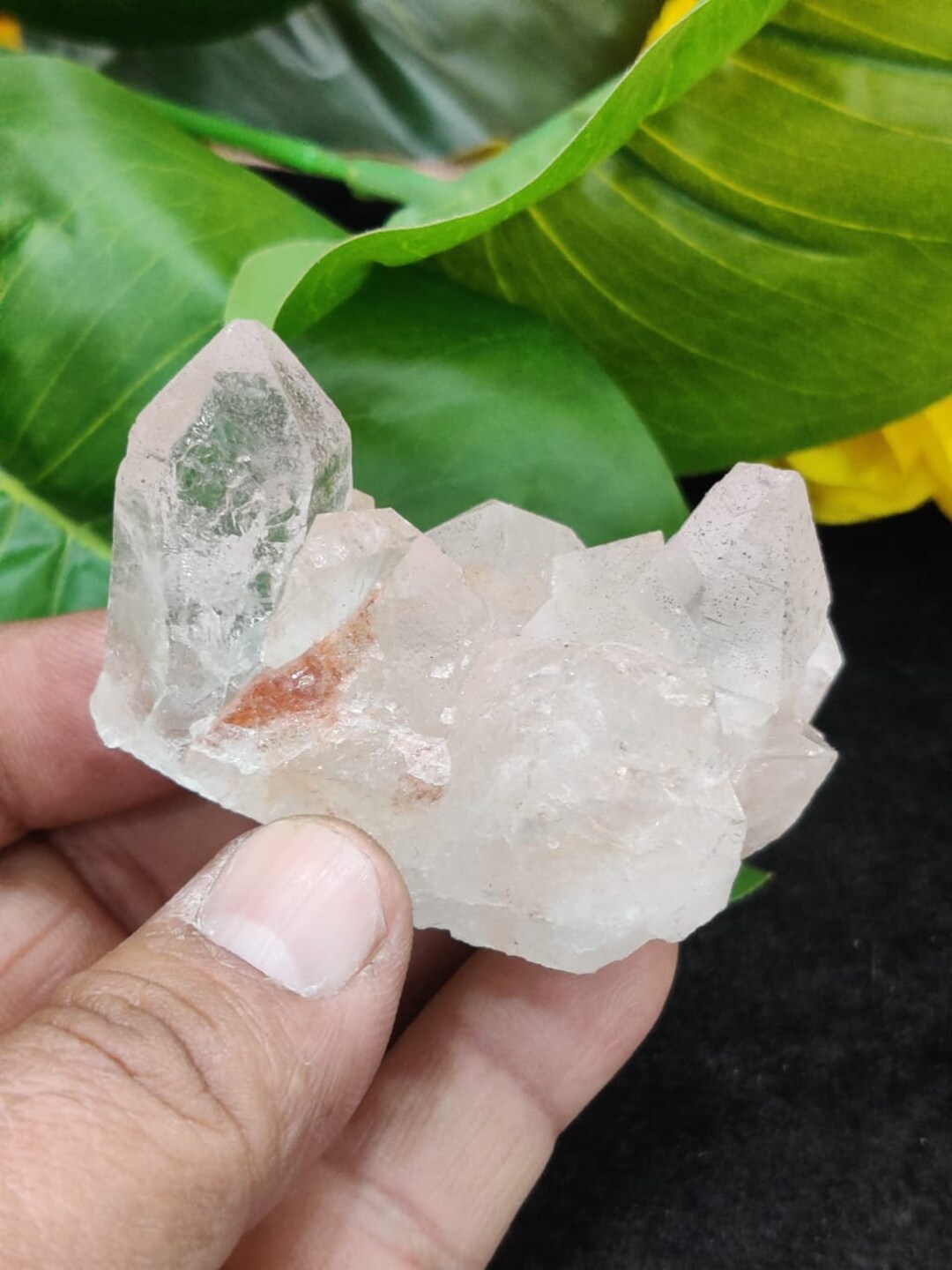 Rarest Amphibole Quartz Family Angel Wings Quartz Red Amphibole Quartz ...