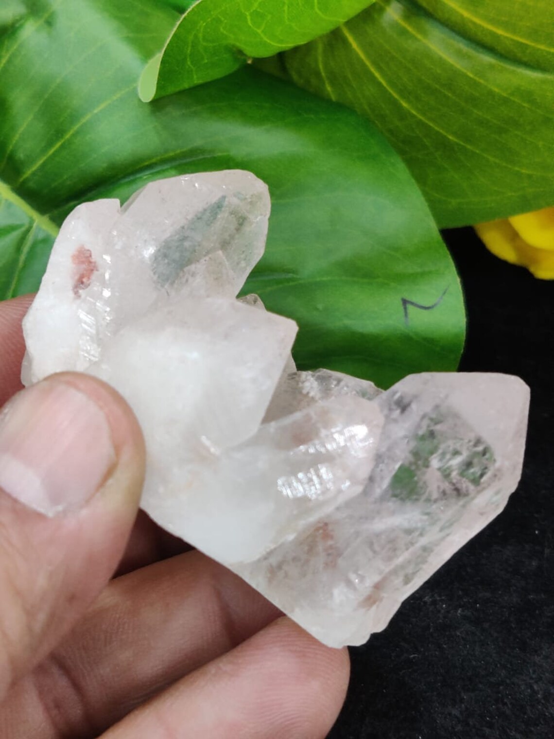 Rarest Amphibole Quartz Family Angel Wings Quartz Red | Etsy