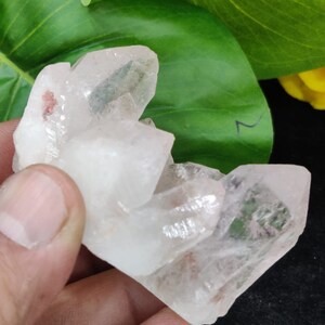 Rarest Amphibole Quartz Family Angel Wings Quartz Red Amphibole Quartz ...