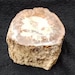Rarest Amphibole Quartz Family Angel Wings Quartz Red Amphibole Quartz ...