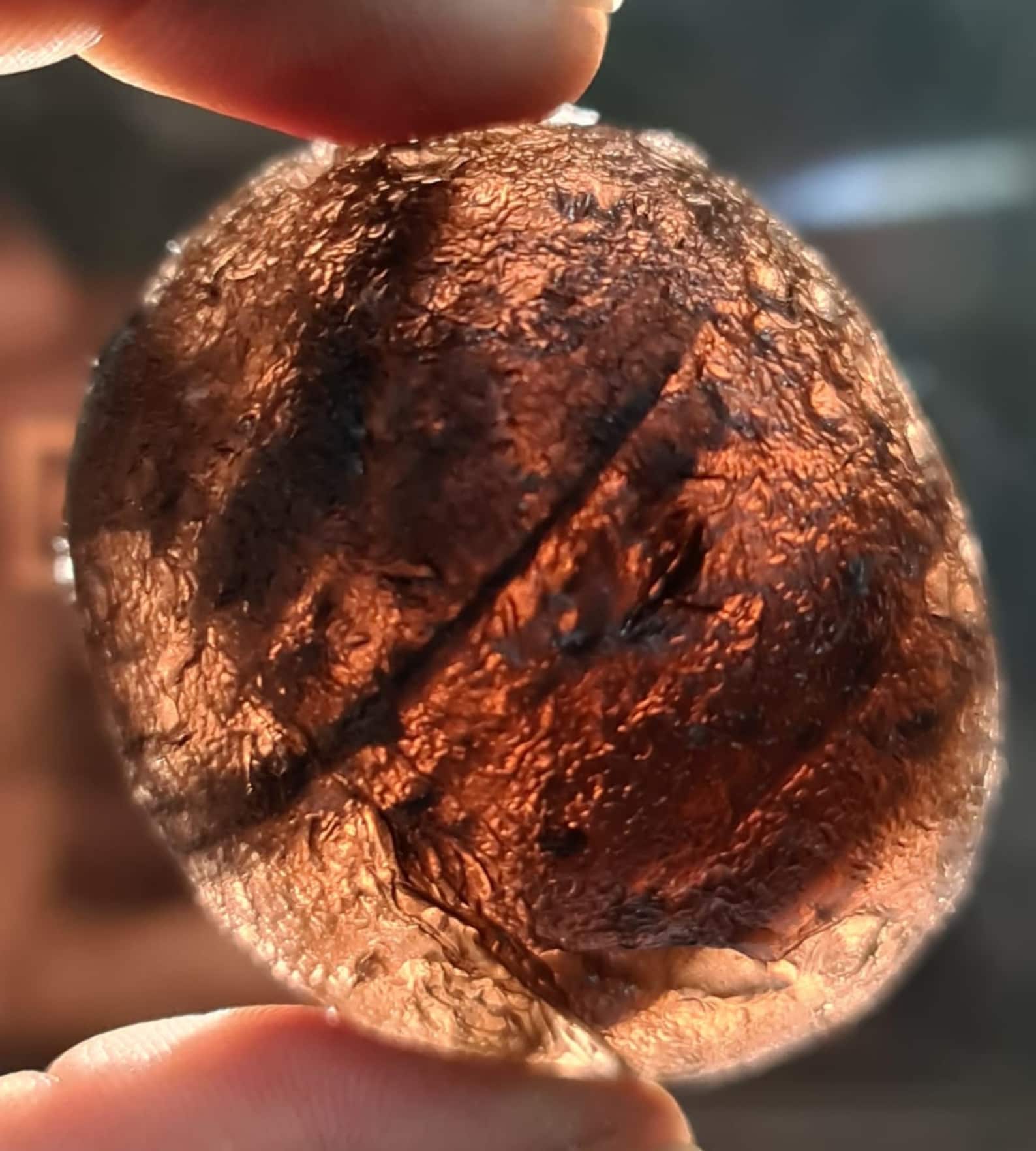 Extra Large Saffordite Cintamani Stone: High Vibration Wishing Stone ...