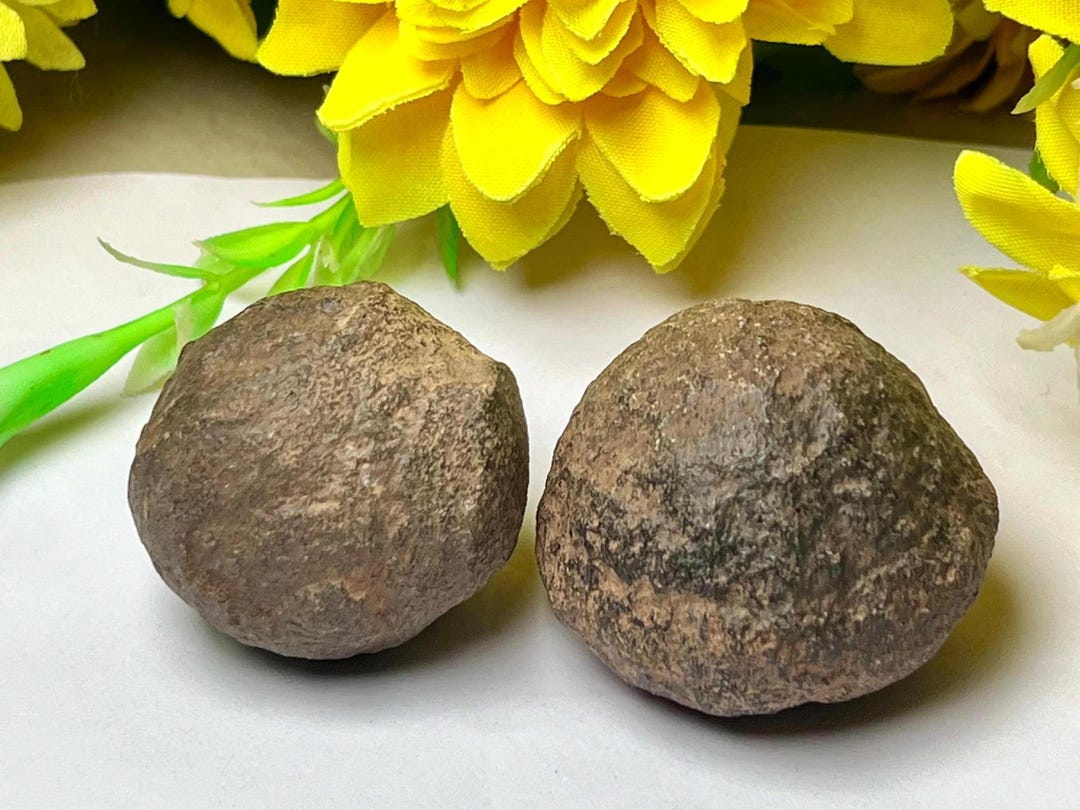 MOQUI MARBLE Stone 'male/female' Pair Shaman Stone 127 Gram for Balance ...
