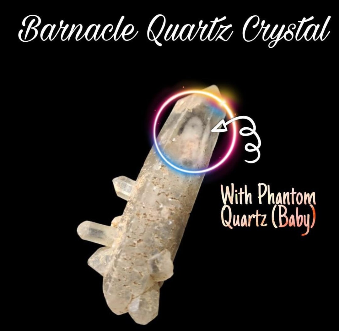 Beautiful Barnacles Crystal Quartz Point, Include Baby Crystal Phentom ...