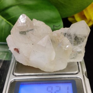 Rarest Amphibole Quartz Family Angel Wings Quartz Red Amphibole Quartz ...