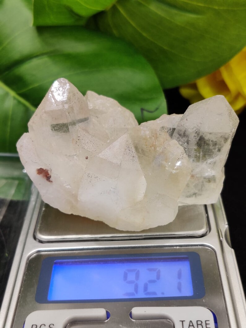 Rarest Amphibole Quartz Family Angel Wings Quartz Red | Etsy