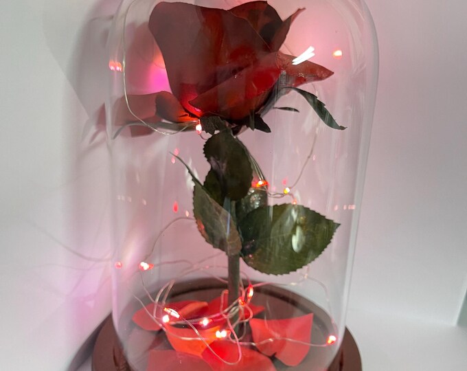 Beauty and the Beast Inspired Bell Jar Rose Preservation, Wedding ...
