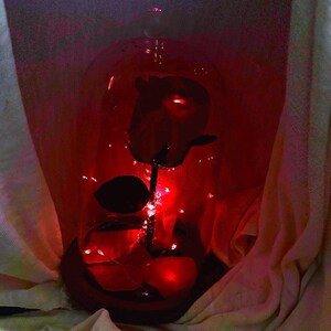 Beauty and the Beast Inspired Bell Jar Rose Preservation, Wedding ...