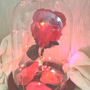 Beauty and the Beast Inspired Bell Jar Rose Preservation, Wedding ...