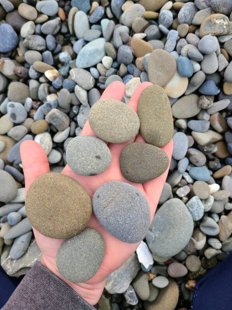 Free Shipping 10 Natural Beach Stones | 1–2 Inch Flat & Tumbled Stones ...