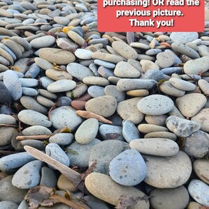 10 Flat Rock, 1 Inch to 2 Inch Flat Stones, Cairn Stones, PNW, Wedding ...