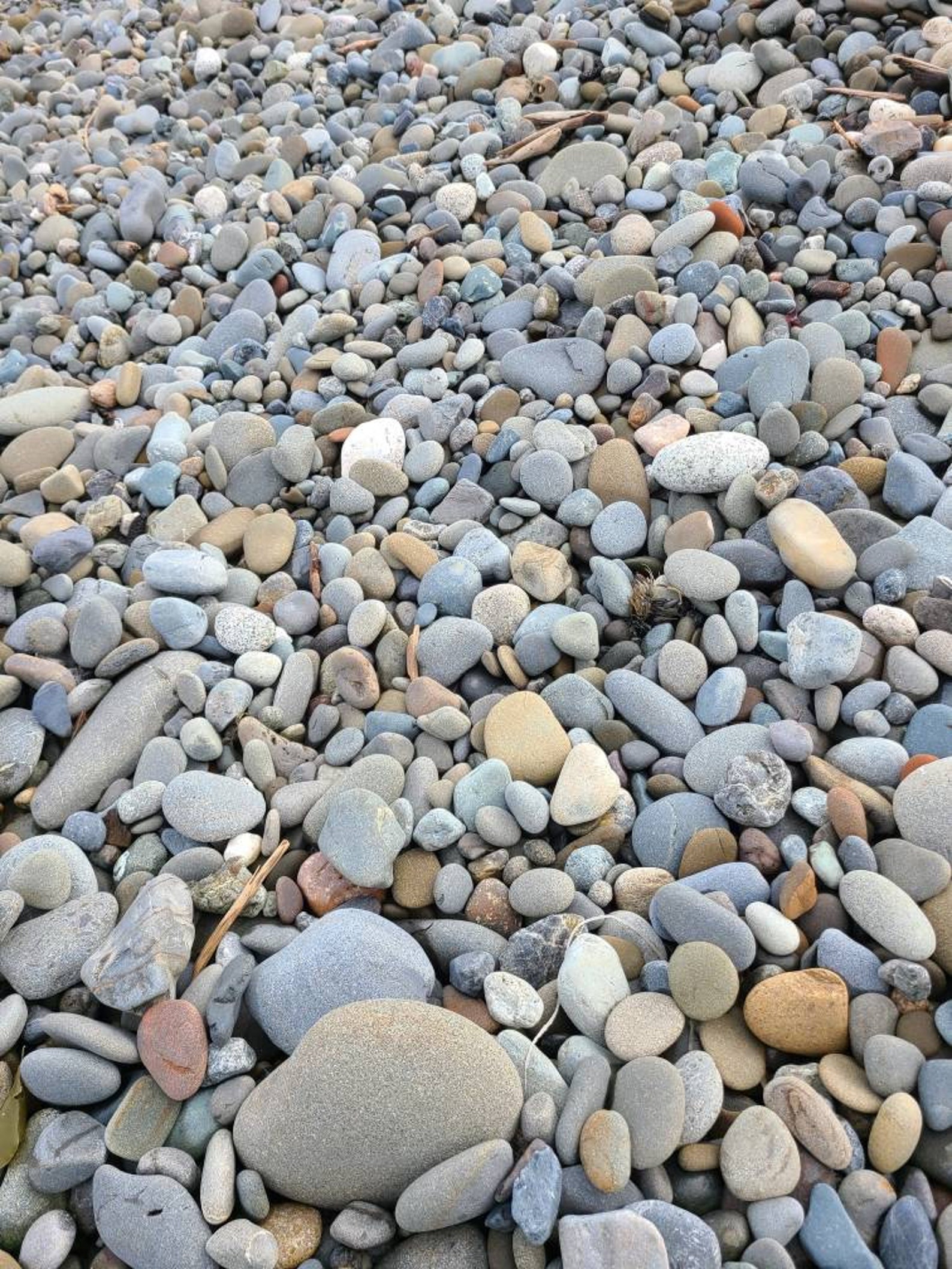 10 Flat Rock 1 Inch to 2 Inch Flat Stones Cairn Stones PNW - Etsy