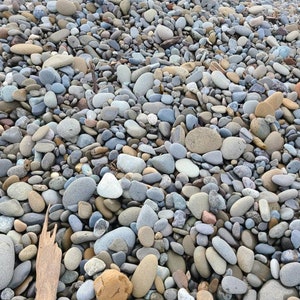 10 Flat Rock, 1 Inch to 2 Inch Flat Stones, Cairn Stones, PNW, Wedding ...